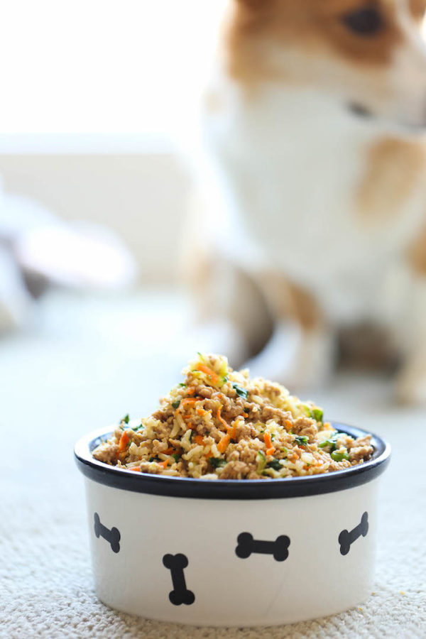 DIY Homemade Dog Food Recipe - Healthy, Easy, Budget-Friendly