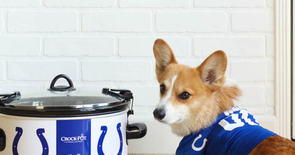 NFL Crock-Pot Slow Cooker Giveaway - Damn Delicious