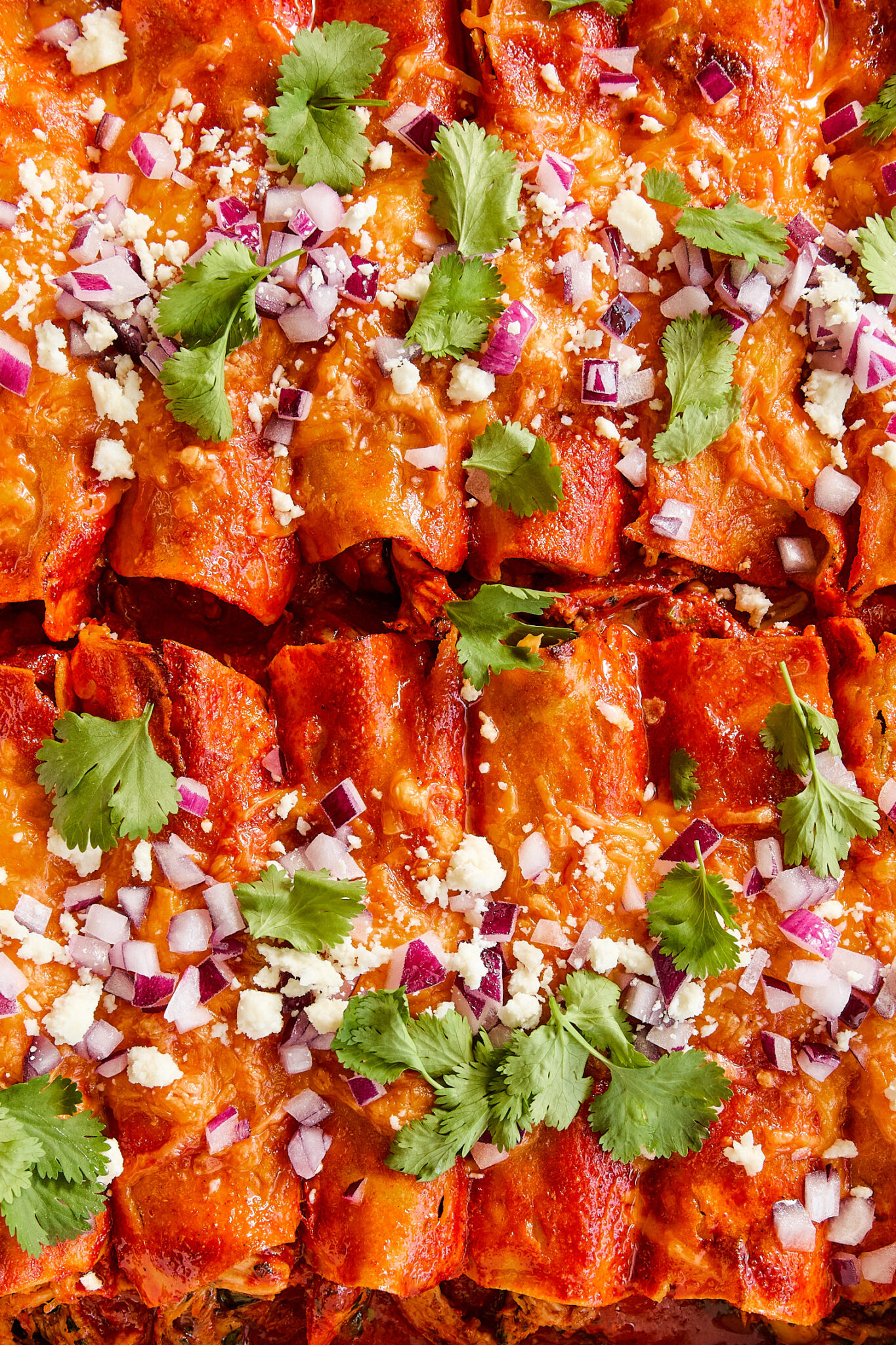 You searched for leftover vegetables - Damn Delicious